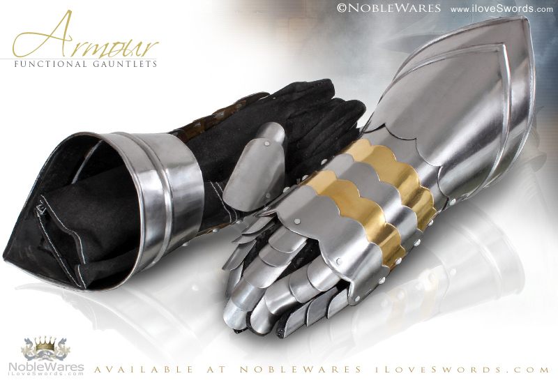 NW8082J functional Steel Gauntlet Pair with Brass Made in India Large Image